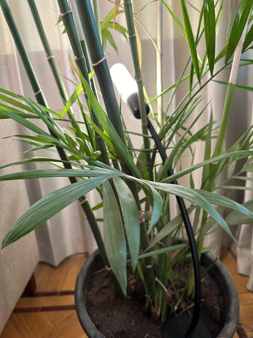 Lighting – Kelos Home